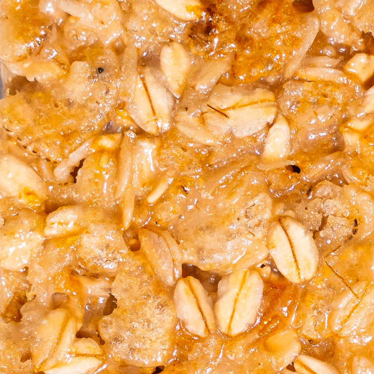 Go Bar / Endurance Bar | Bare Performance Nutrition